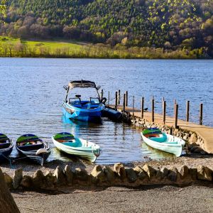 Waterside Farm Campsite - Waterside Farm Campsite